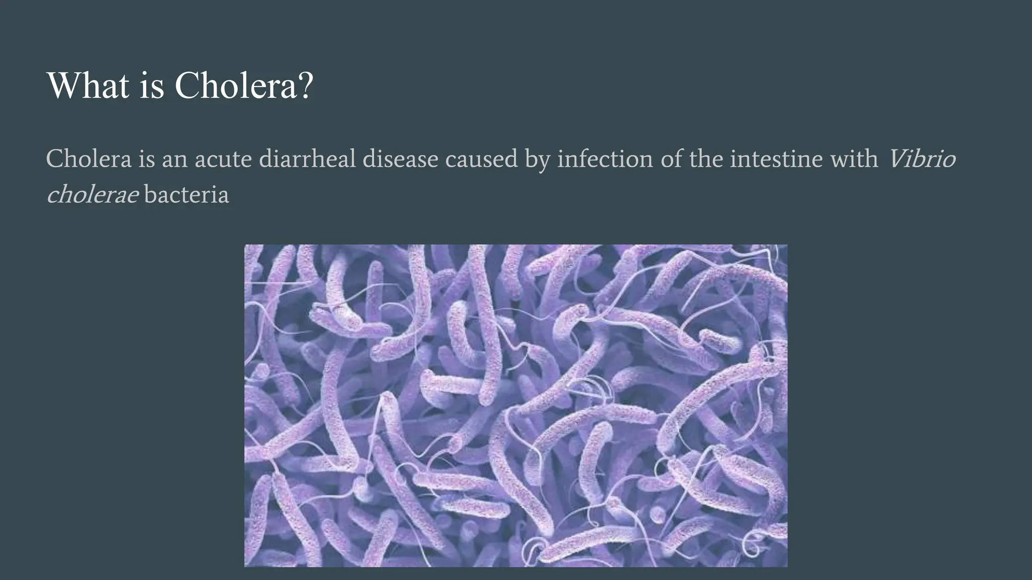 Cholera Romy W. (3).pptx