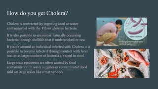 Cholera Romy W. (3).pptx