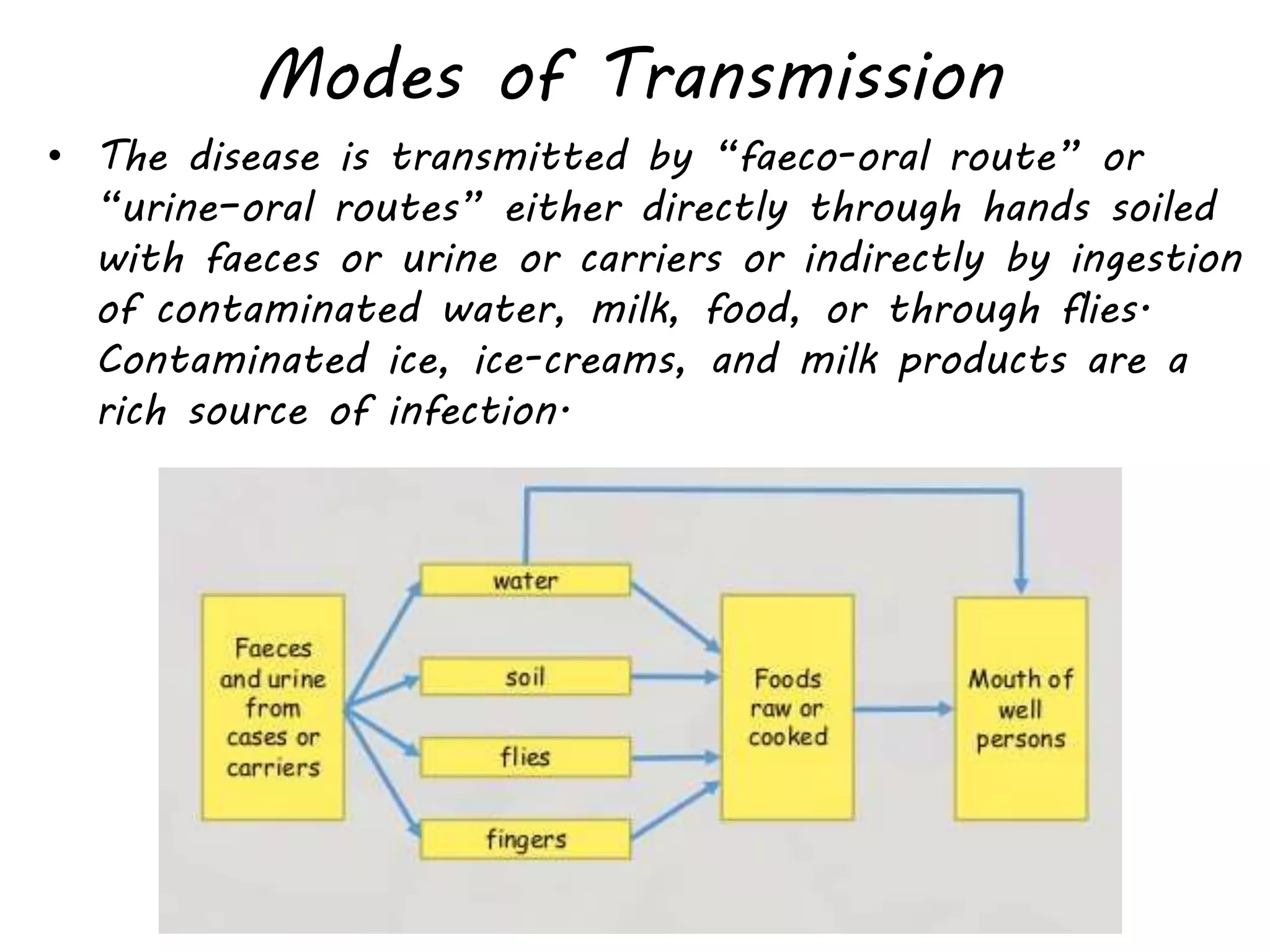 Cholera typhoid fever dysentery | PPTX