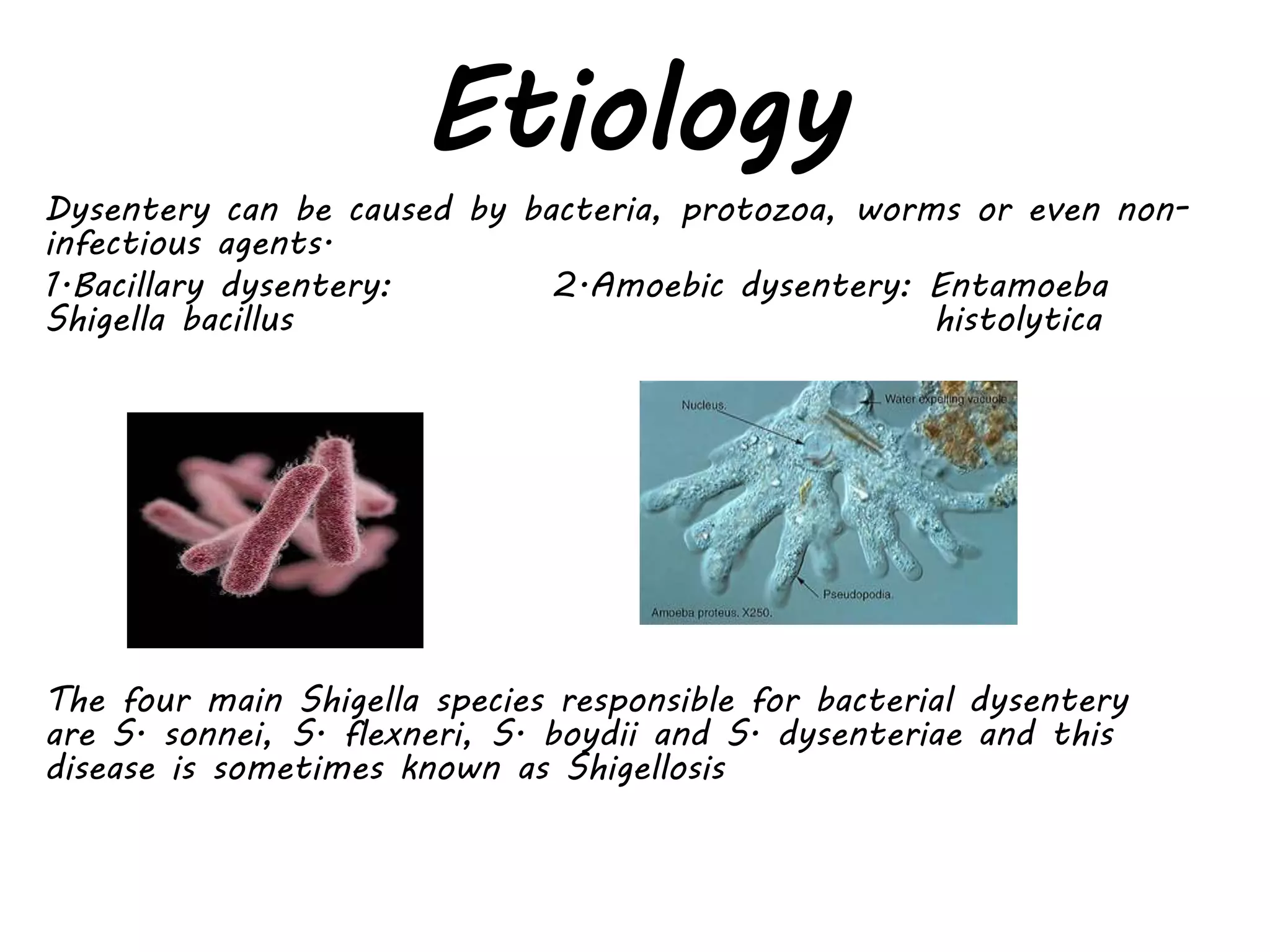 Cholera typhoid fever dysentery | PPTX