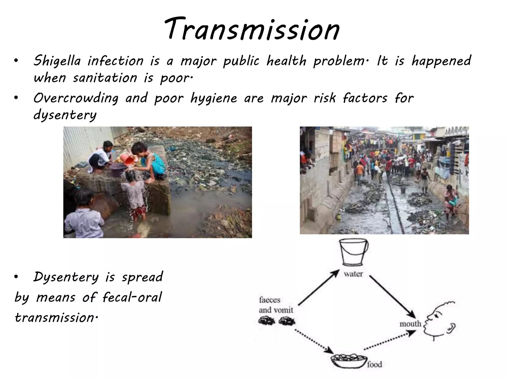 Cholera typhoid fever dysentery | PPTX