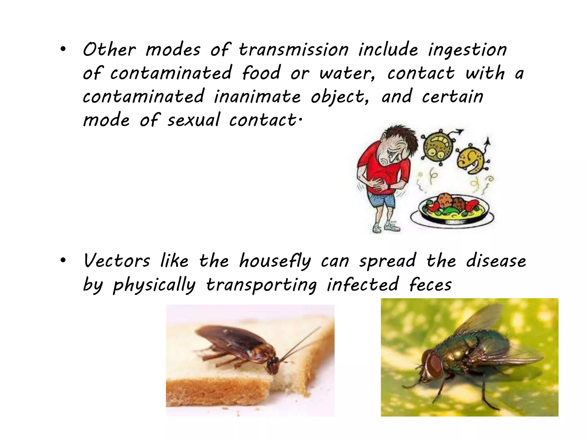 Cholera typhoid fever dysentery | PPTX