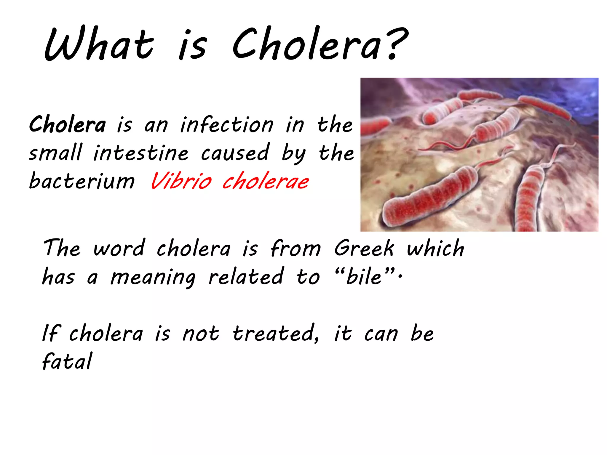 Cholera typhoid fever dysentery | PPTX