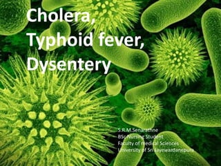 Cholera typhoid fever dysentery | PPTX