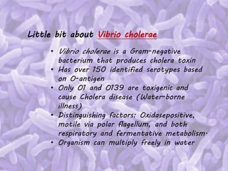 Cholera typhoid fever dysentery | PPTX