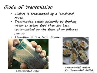 Cholera typhoid fever dysentery | PPTX