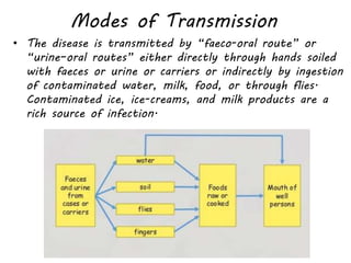 Cholera Transmission Diagram