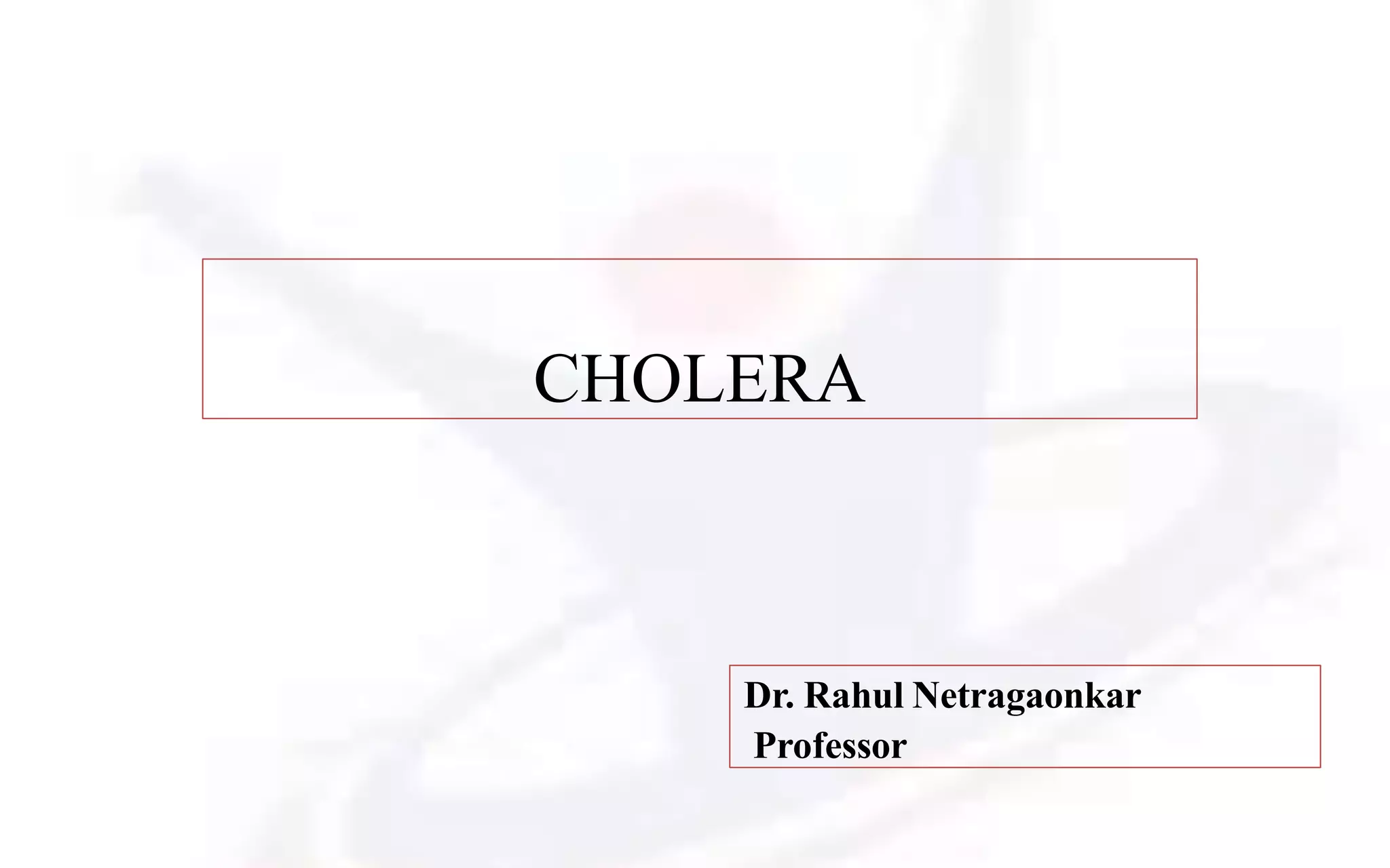 Cholera updated.pptx