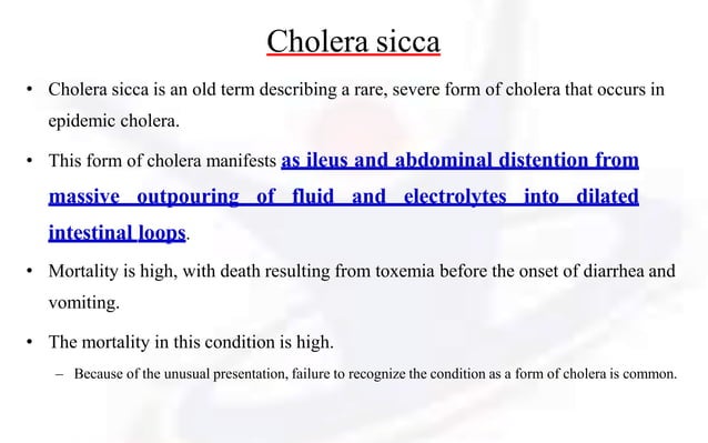 Cholera updated.pptx