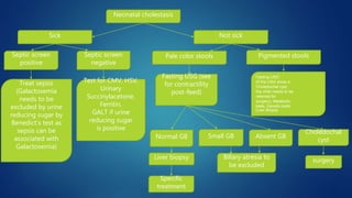 Cholestasis | PPTX