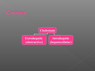 Cholestatic jaundice | PPT