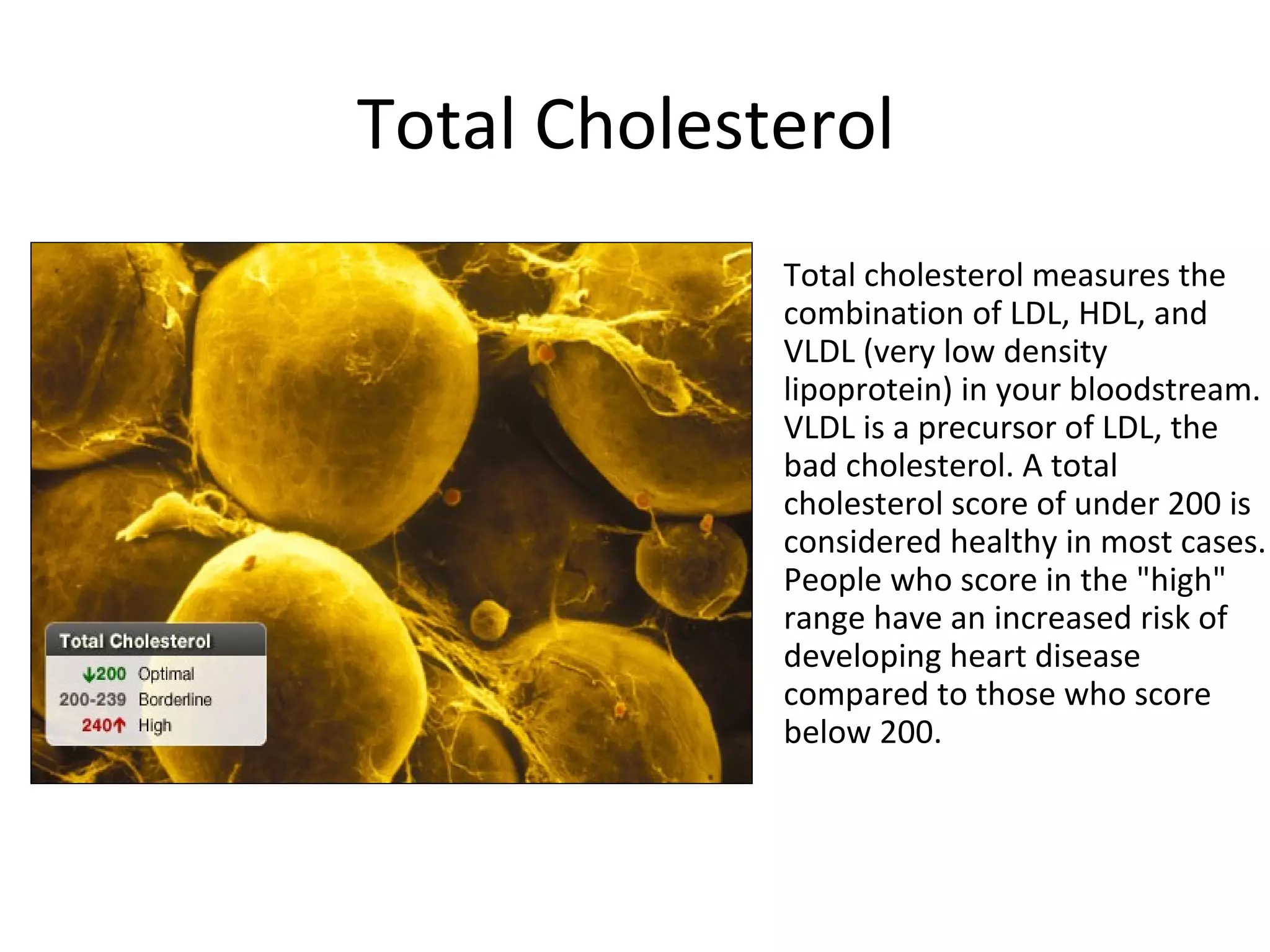 Cholesterol | PPS