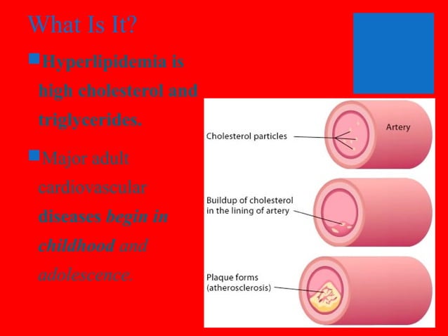 Cholesterol | PPT