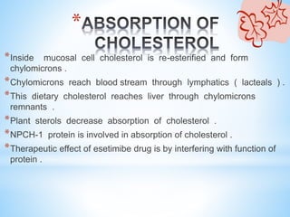 Cholesterol | PPTX