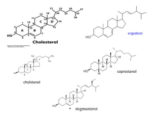 Cholesterol | PPTX | Chemistry | Science