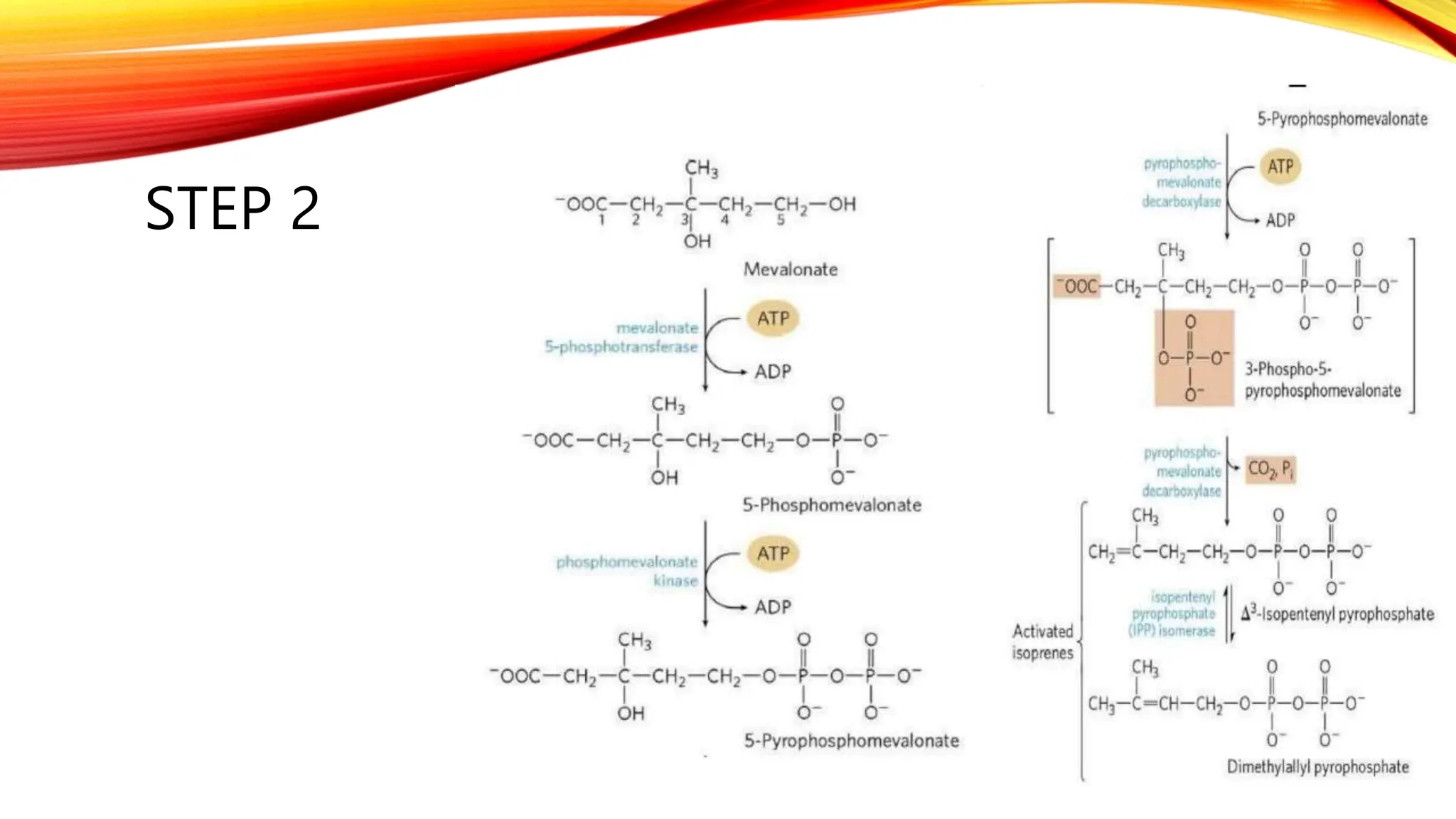 Biochemistry of Cholesterol Metabolism: Lecture | PPTX