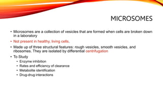 Biochemistry of Cholesterol Metabolism: Lecture | PPTX