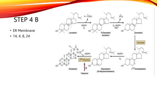 Biochemistry of Cholesterol Metabolism: Lecture | PPTX