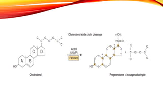 Biochemistry of Cholesterol Metabolism: Lecture | PPTX