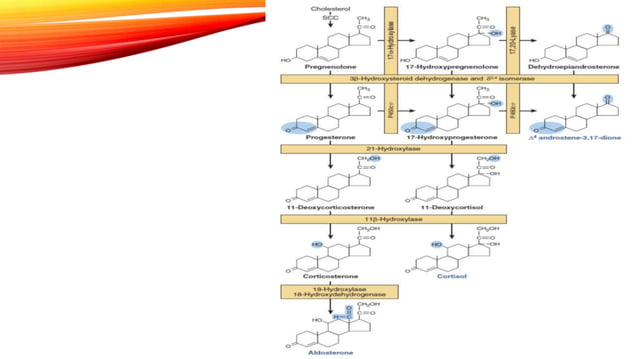 Biochemistry of Cholesterol Metabolism: Lecture | PPTX | Chemistry ...