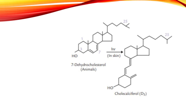 Biochemistry of Cholesterol Metabolism: Lecture | PPTX | Chemistry ...