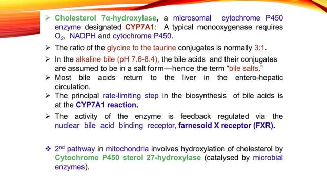 Biochemistry of Cholesterol Metabolism: Lecture | PPTX | Chemistry | Science