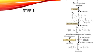 Biochemistry of Cholesterol Metabolism: Lecture | PPTX