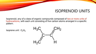 Biochemistry of Cholesterol Metabolism: Lecture | PPTX