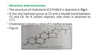 CHOLESTEROL. (Biochemistry).ppt........x | PPTX | Chemistry | Science