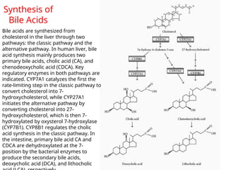 Cholesterol metabolism and biochemistry.ppt