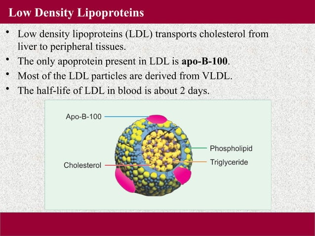 Cholesterol and lipoproteins for nursing students.pptx