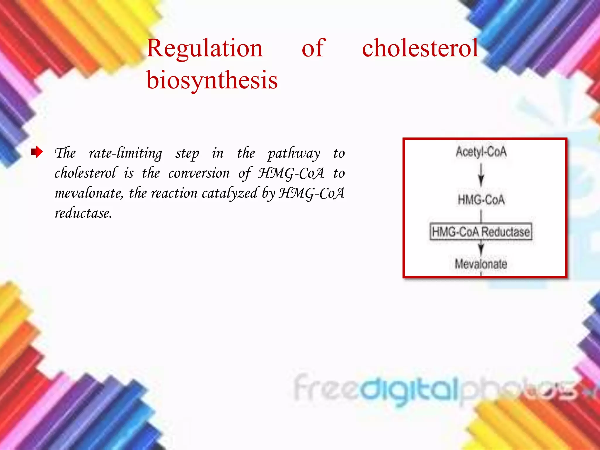 Cholesterol biosynthesis | PPTX