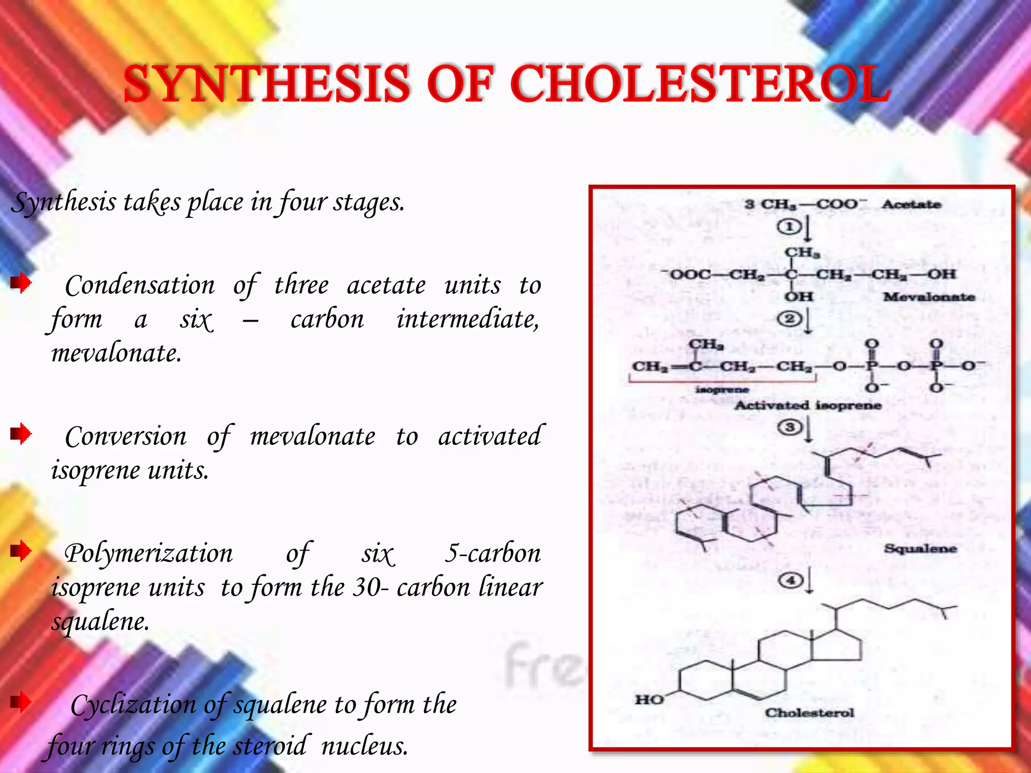 Cholesterol biosynthesis | PPTX