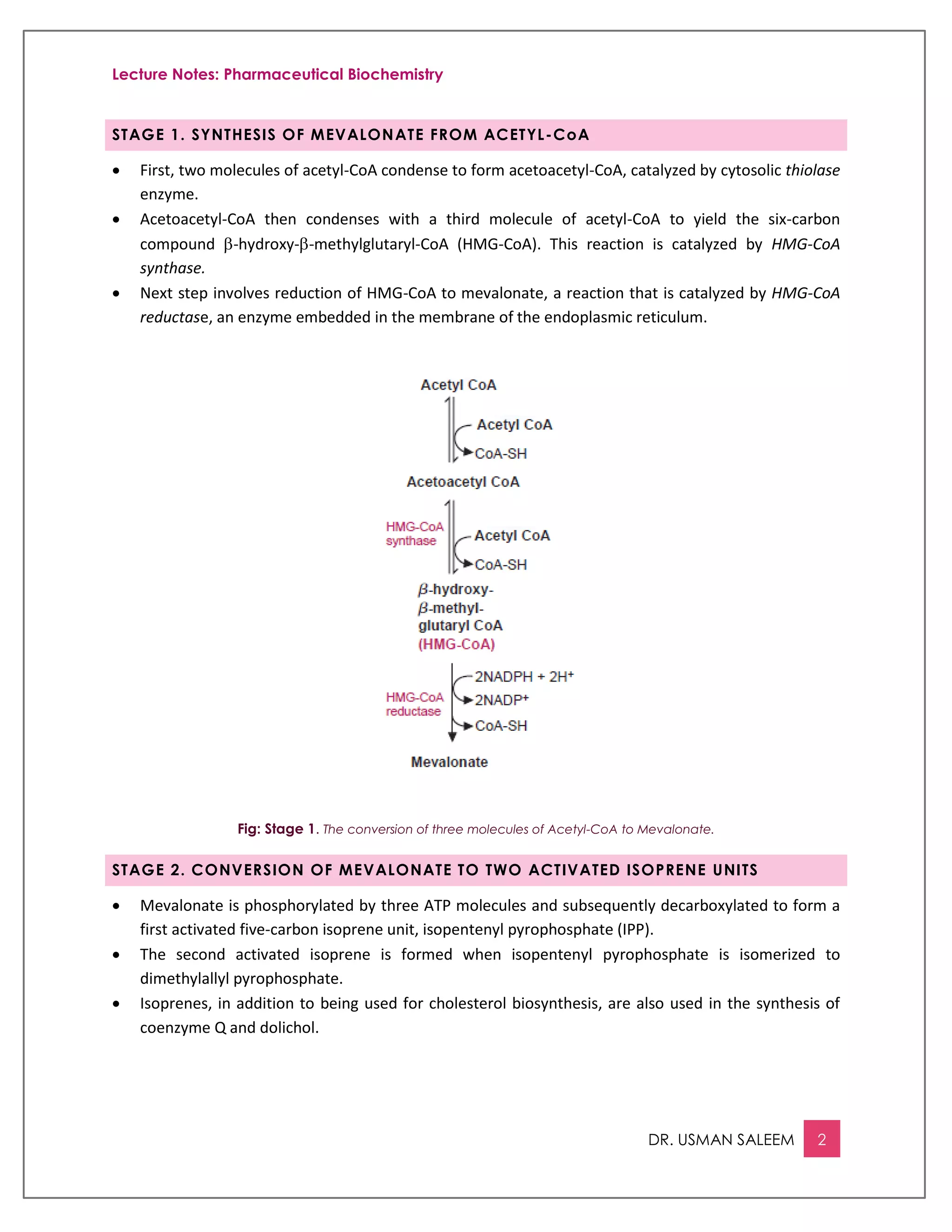 Cholesterol biosynthesis | PDF