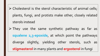 Cholesterol Biosynthesis | PPTX