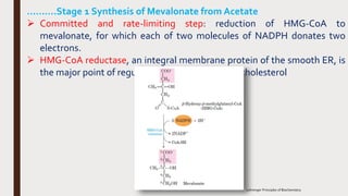 Cholesterol Biosynthesis | PPTX