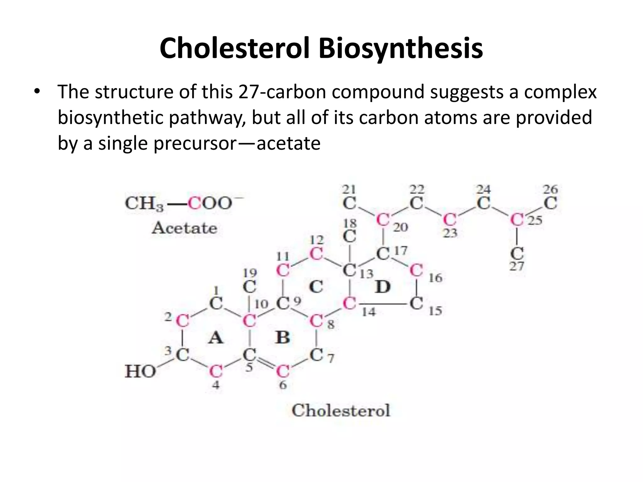 cholesterol biosynthesis. | PPTX