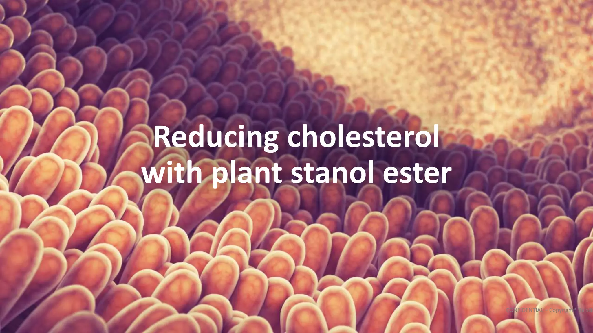 Mechanism of action - Reducing cholesterol with plant stanol ester | PPTX