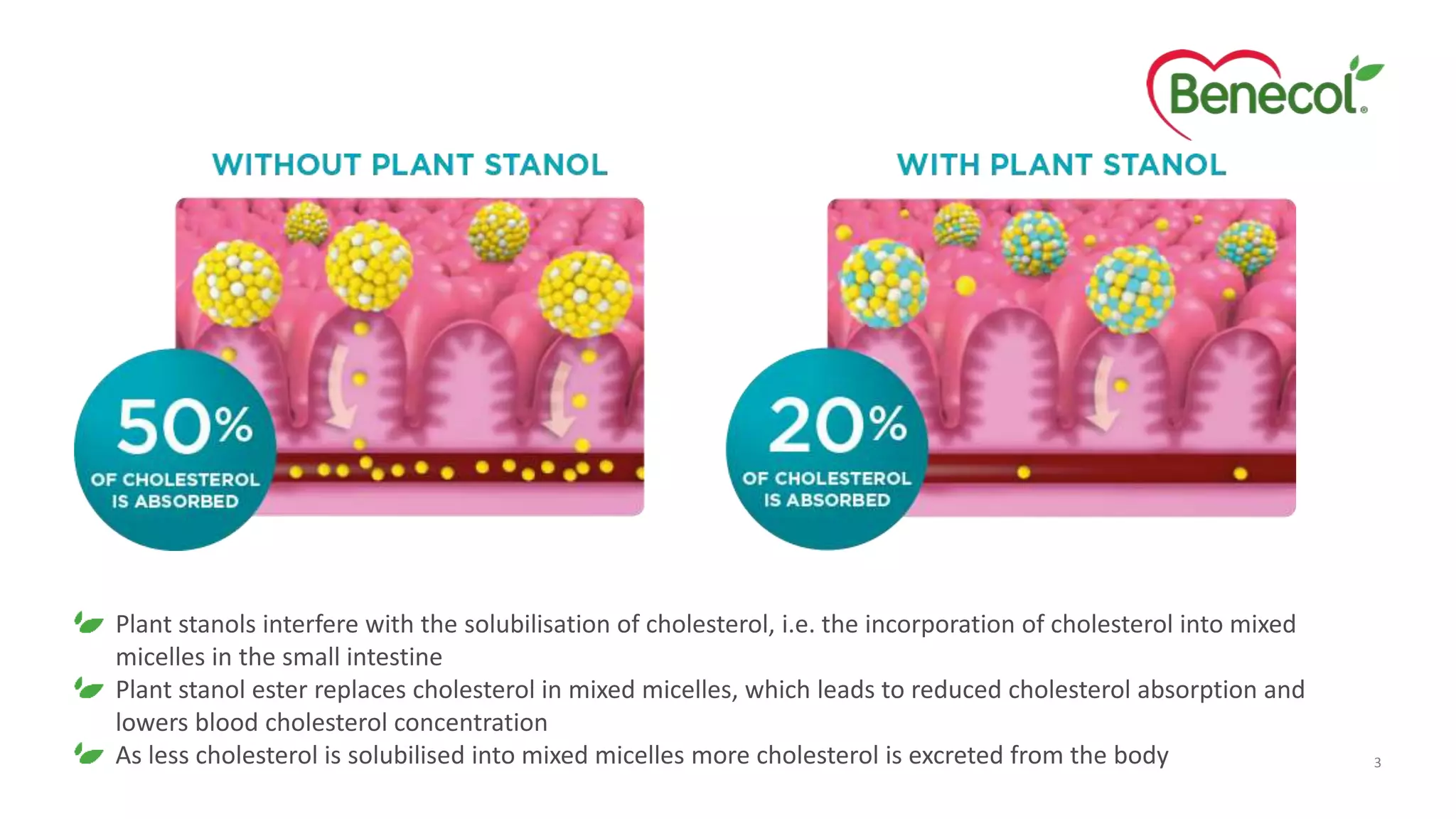 Mechanism of action - Reducing cholesterol with plant stanol ester | PPTX