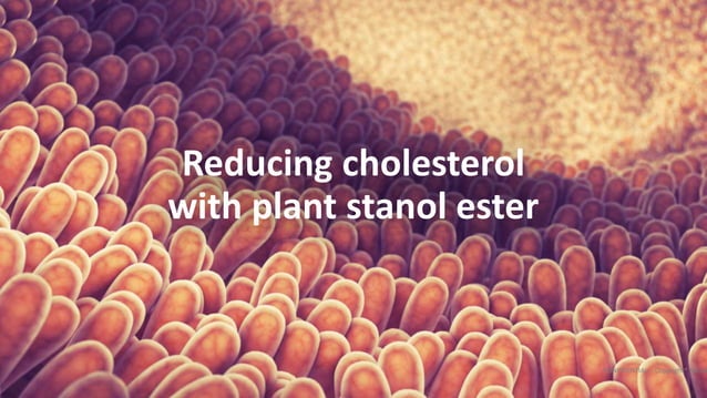 Mechanism of action - Reducing cholesterol with plant stanol ester ...