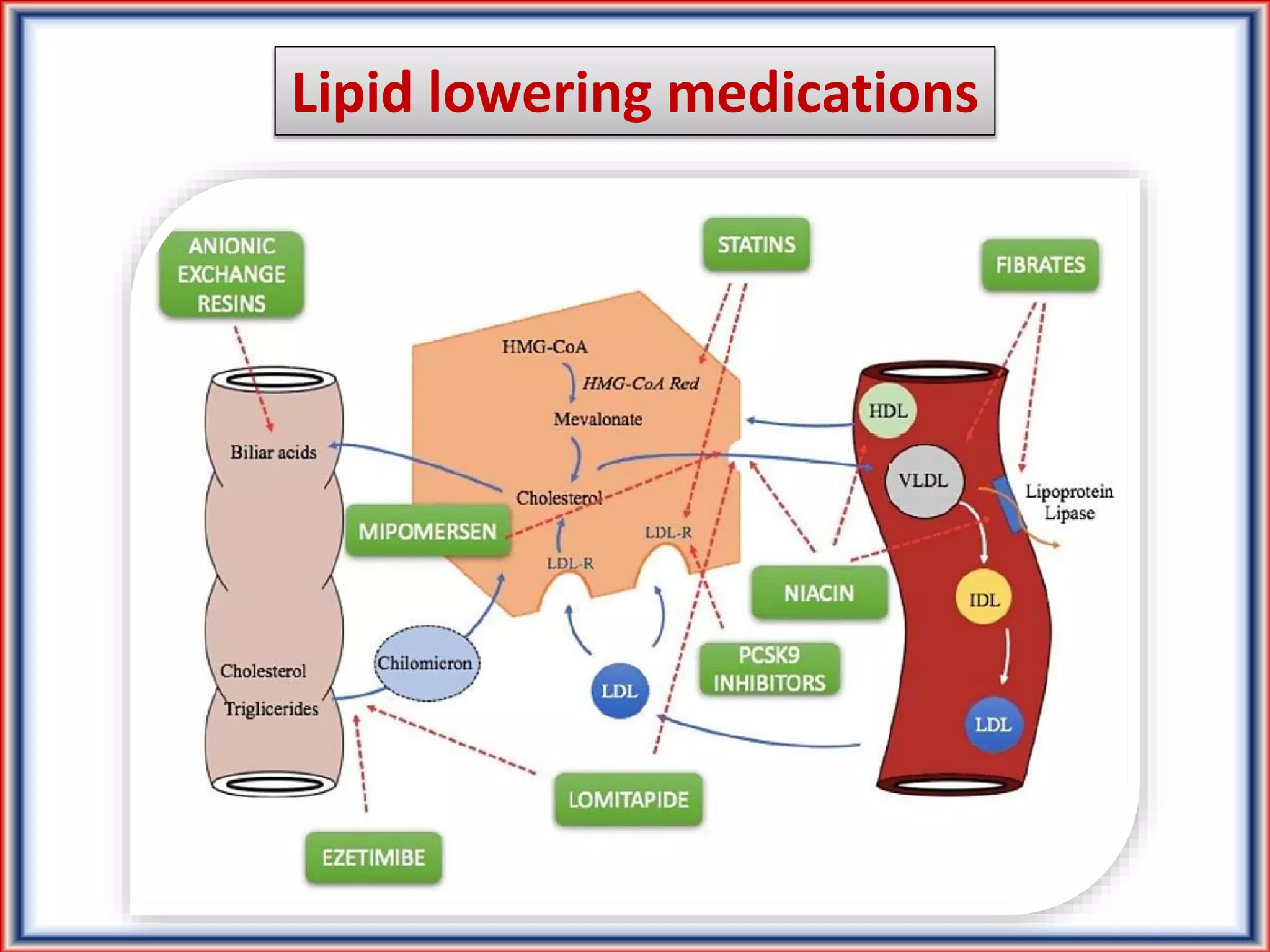 Cholesterol Management Guidelines | PPTX
