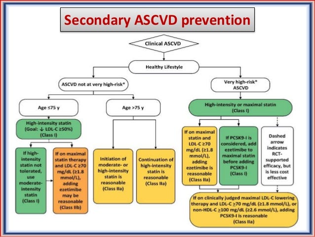Cholesterol Management Guidelines