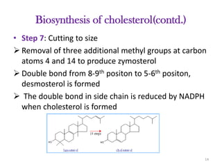Cholesterol metabolism | PPTX