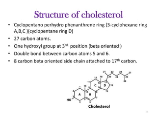 Cholesterol metabolism | PPT