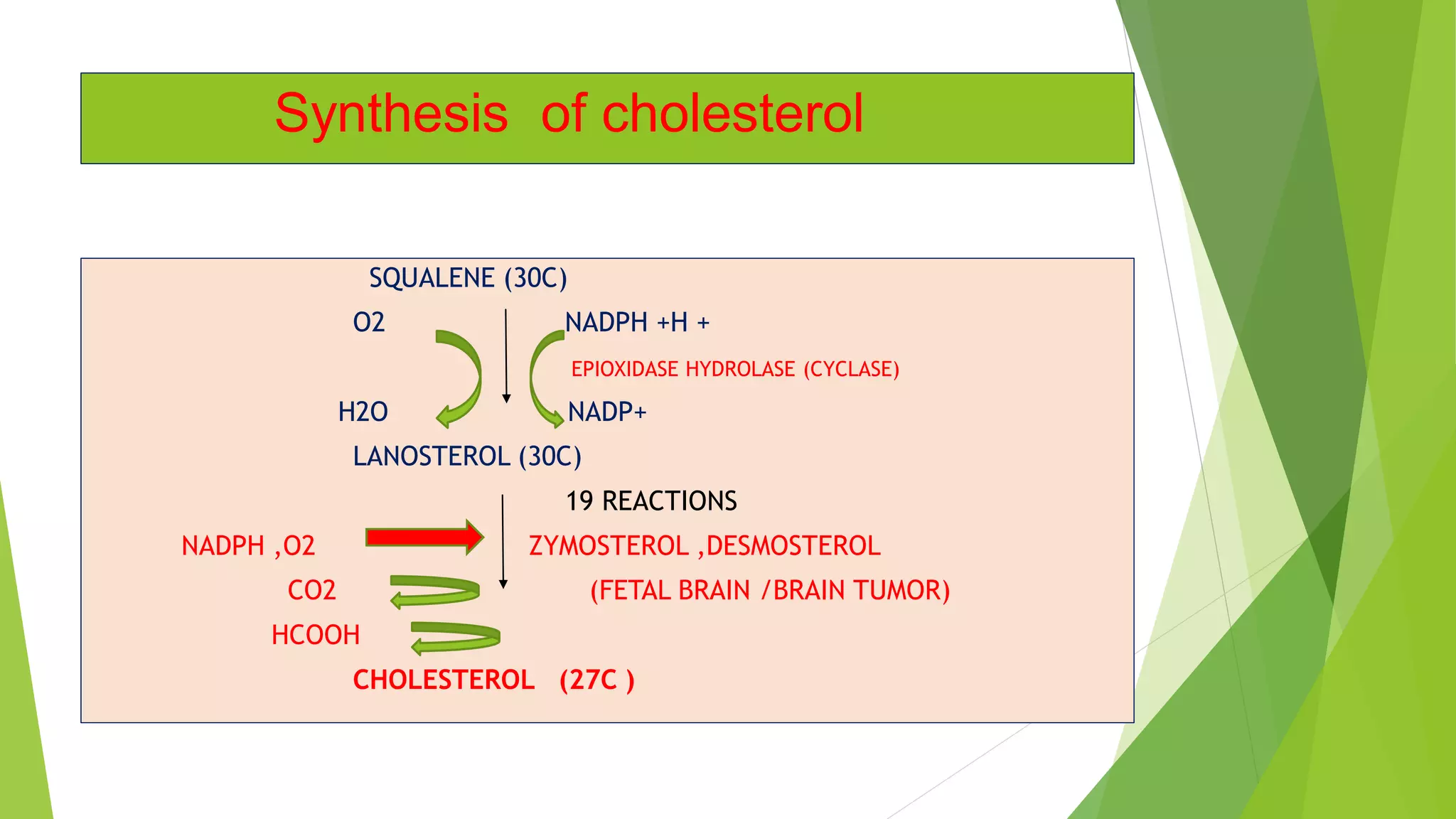 Cholesterol metabolism | PDF