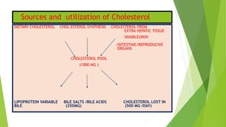 Cholesterol metabolism | PDF