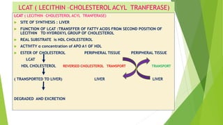 Cholesterol metabolism | PDF