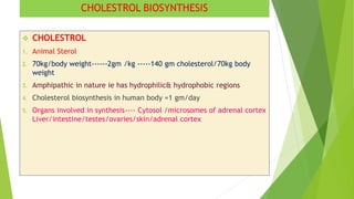 Cholesterol metabolism | PDF