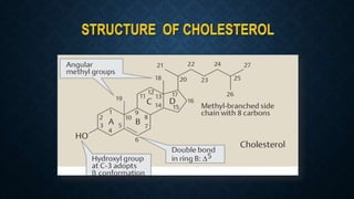 Cholesterol Metabolism | PPTX
