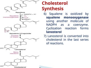 cholesterol metabolism and regulation in | PPTX